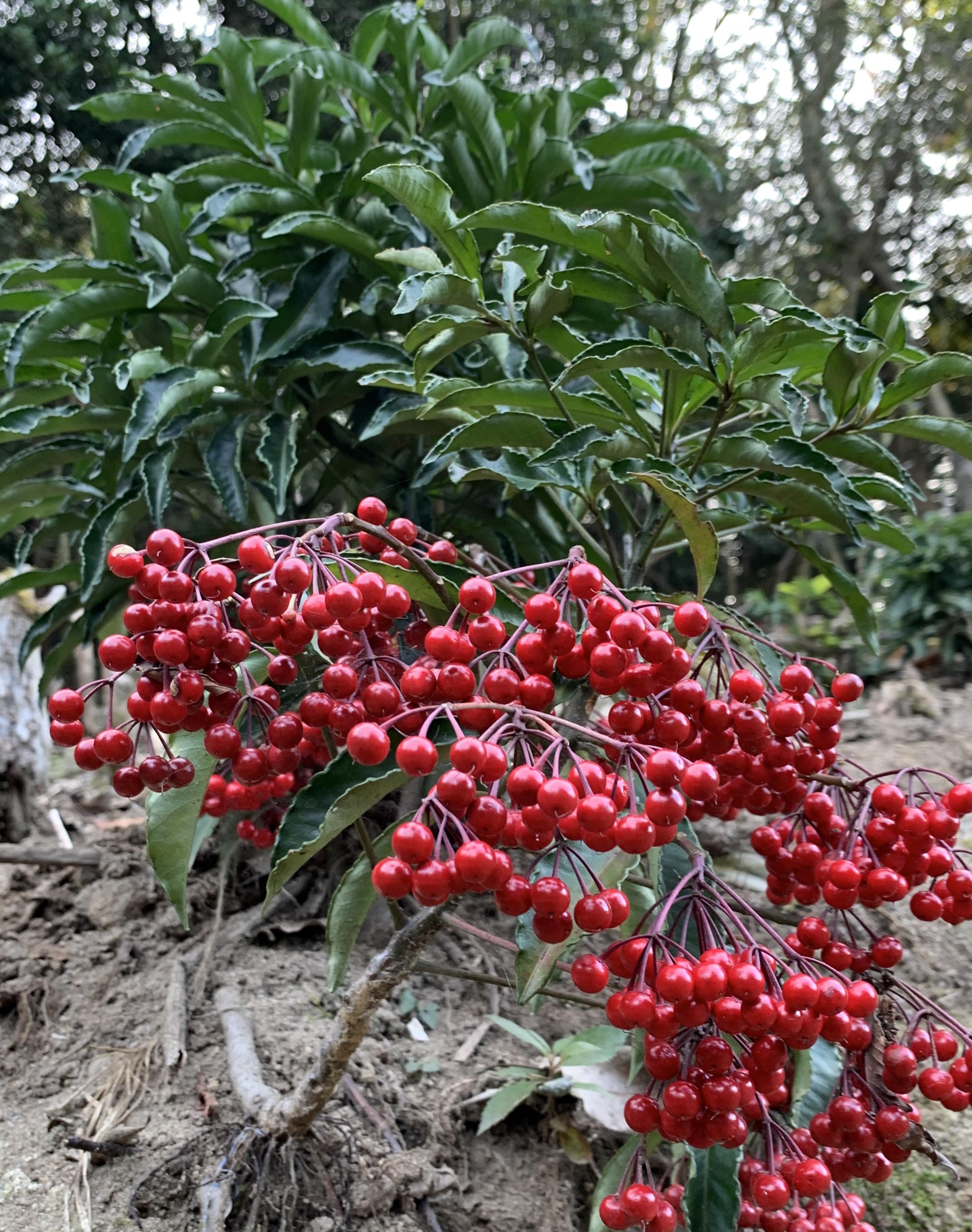 西区三篠町2丁目♪2015年築2SLDK！JR横川駅まで徒歩4分！通勤通学便利です(^_-)-☆ | 広島市周辺の不動産はジャストホーム株式会社